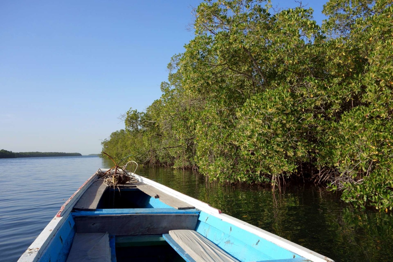 Promenade en pirogue sur le fleuve Saloum - Voyage Sénégal - Voyagez ...
